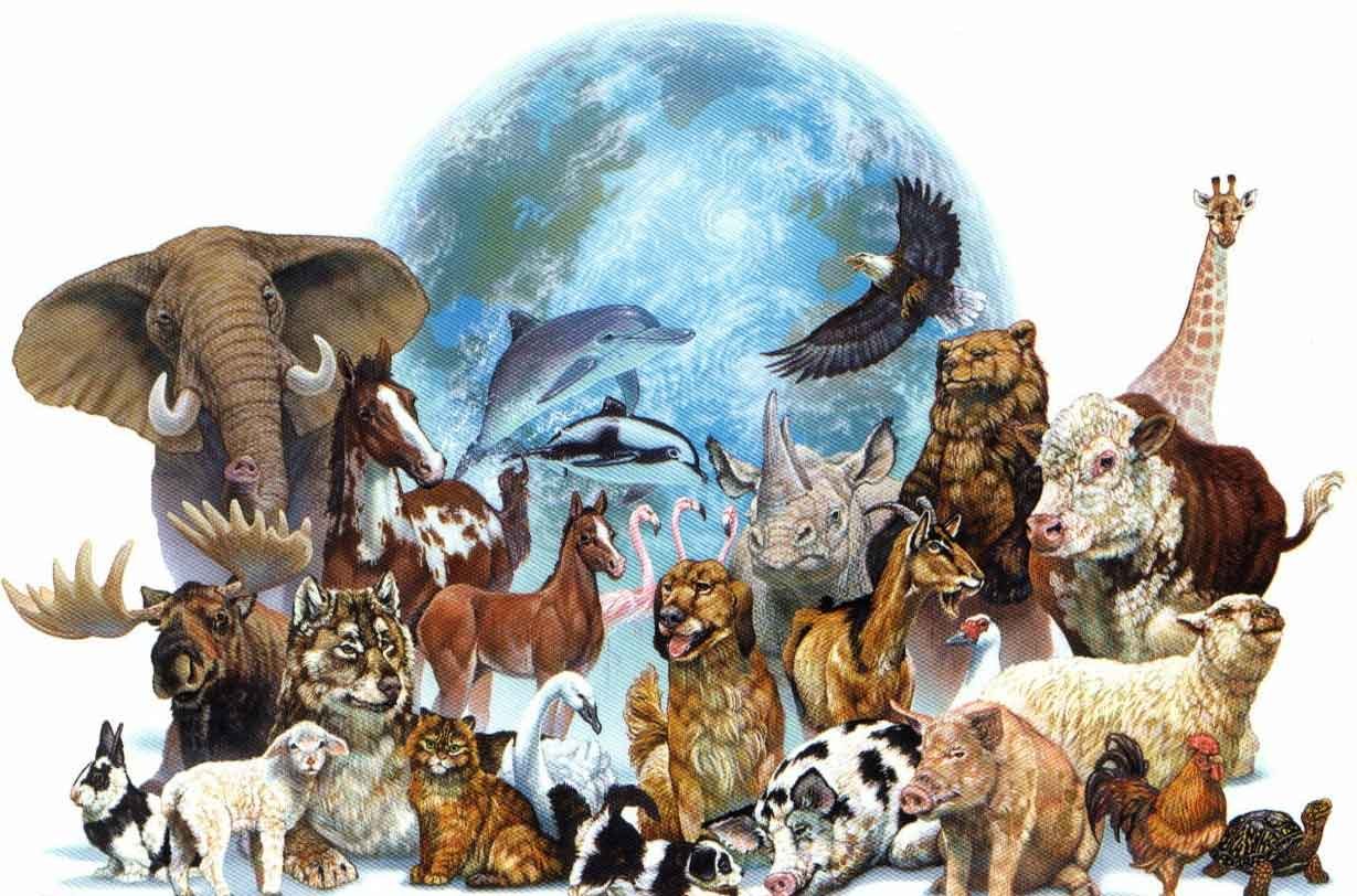 Projeto animais para educação infantil - SÓ ESCOLA